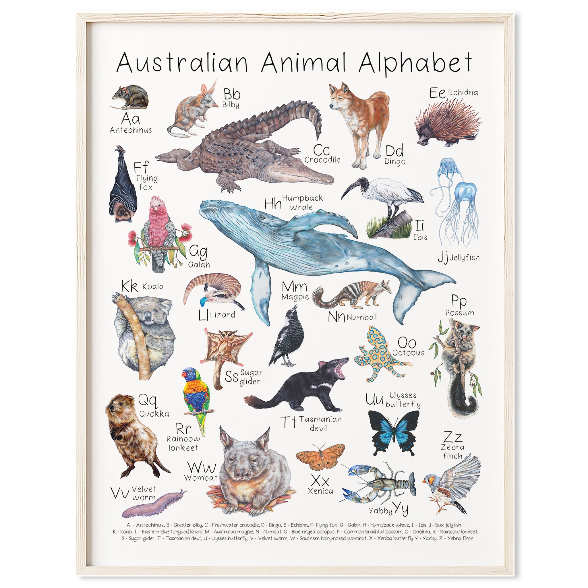Australian Animal Alphabet | Fine Art Print | Abbi McClure – Posteroo