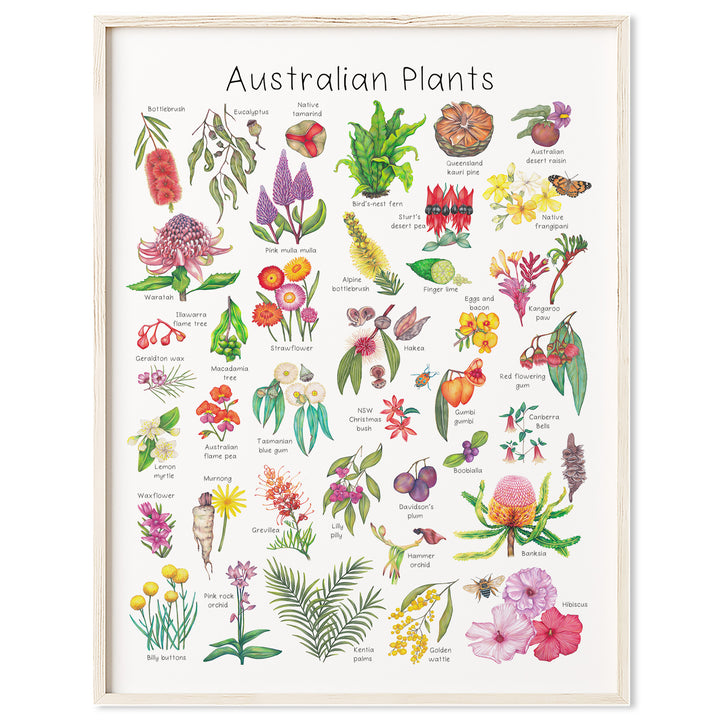 Australian Art Prints by Independent Artists, Premium Wall Art Online ...