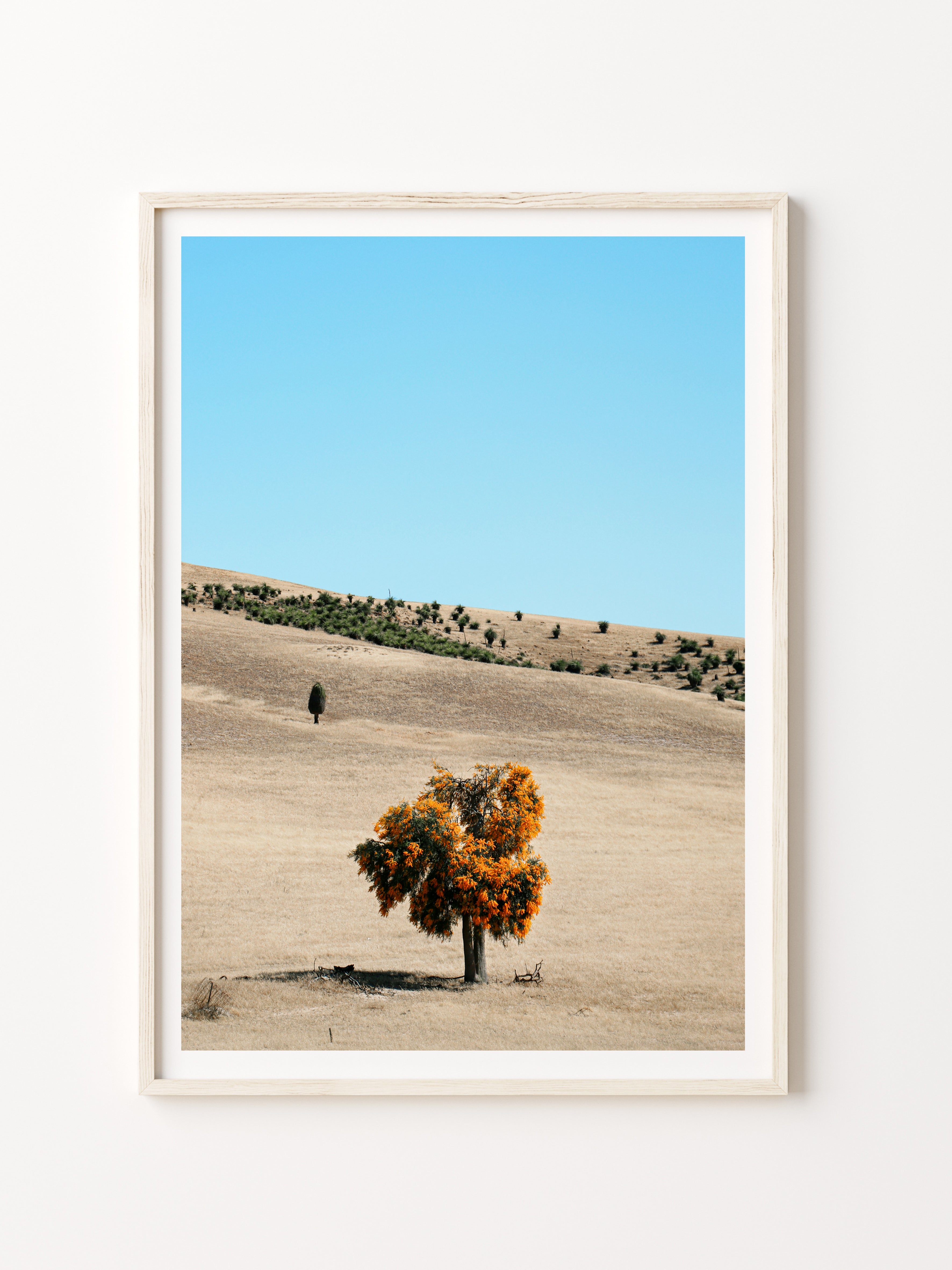 Moodjar Tree – Posteroo